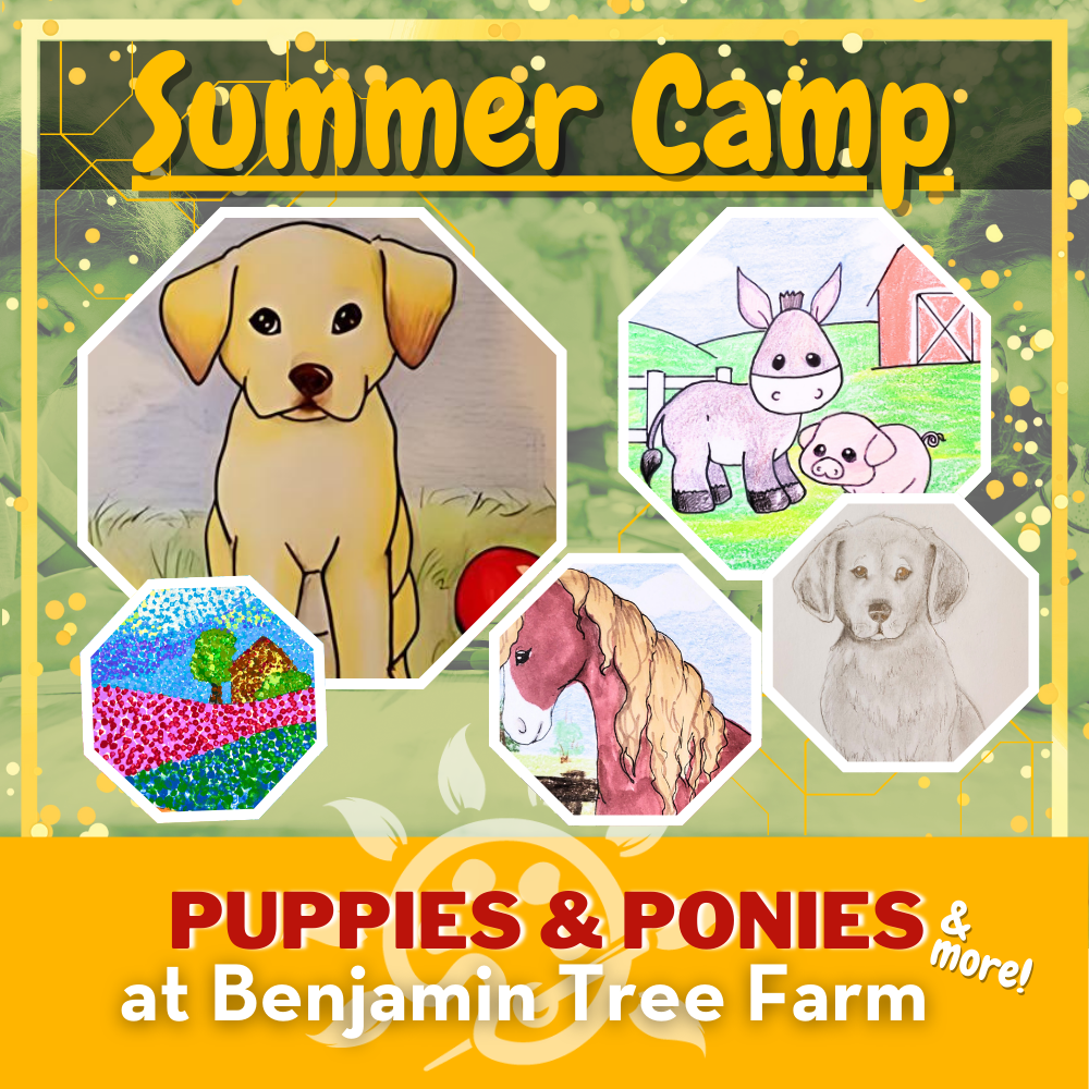 Benjamin Tree Farm Camps – ARTSHINE